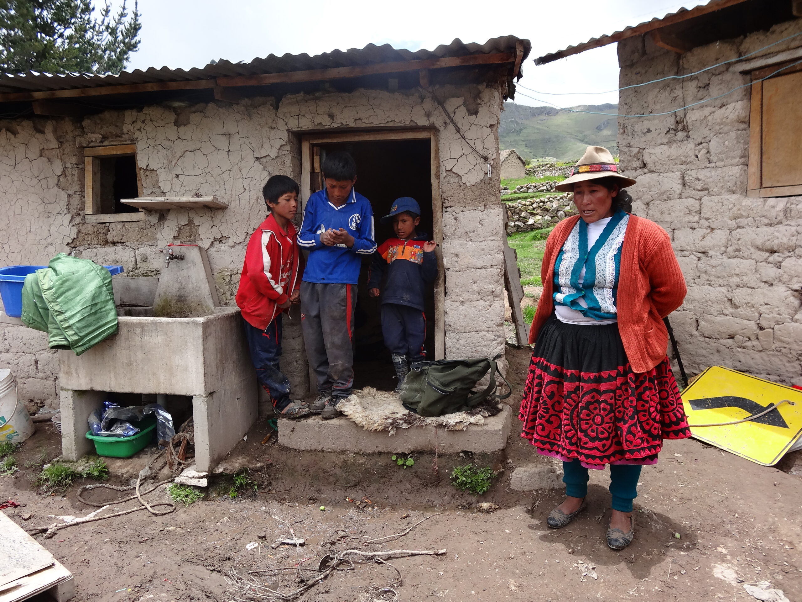 Open letter to the peruvian state calling for the implementation of ...